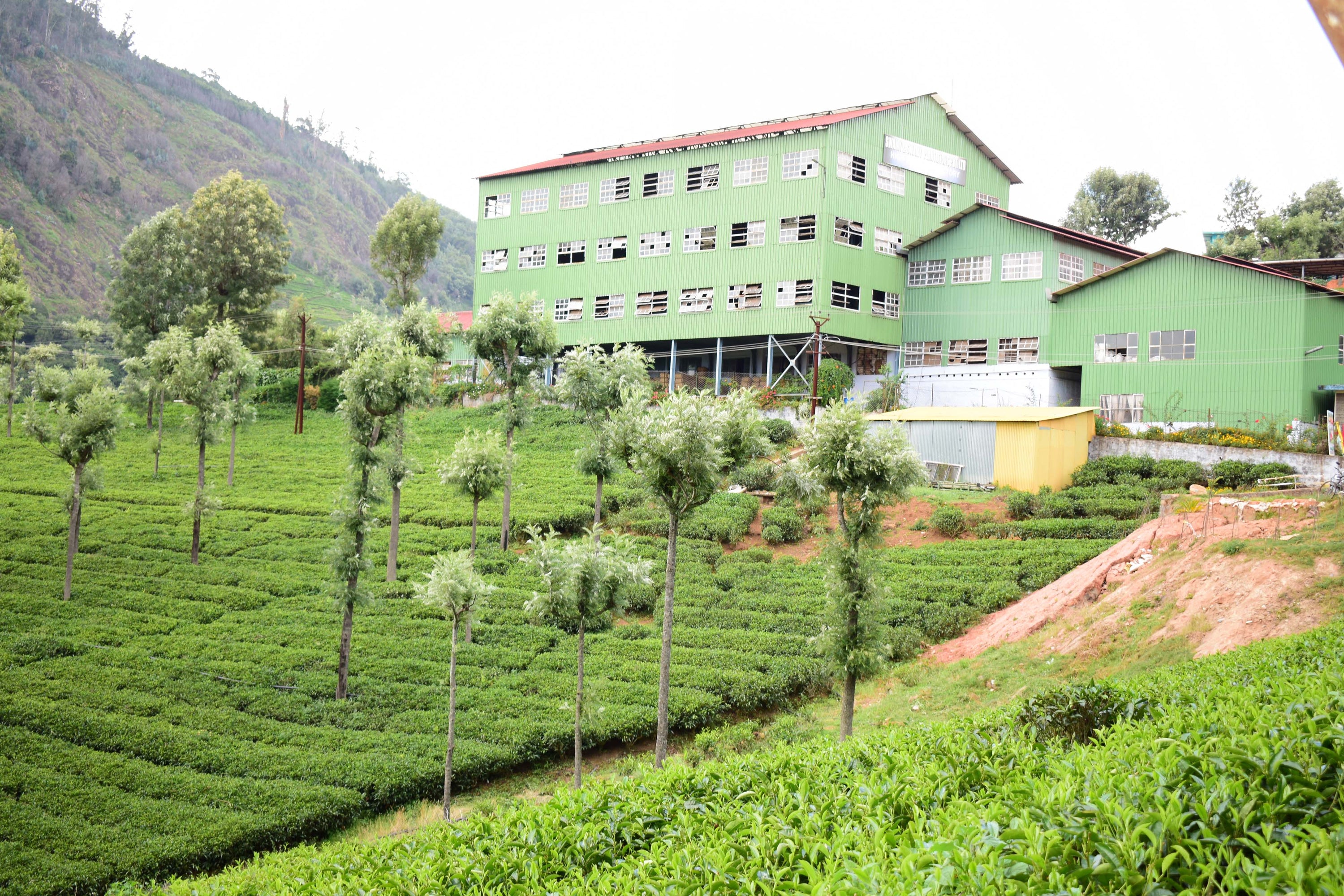 Highfield Shopping Center